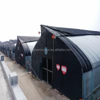 China Maximize Mushroom Production with Customizable Single-Span Agricultural Greenhouses for sale