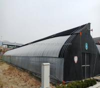 China Maximize Mushroom Production with Customizable Single-Span Agricultural Greenhouses for sale