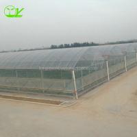 China Large Transparent Plastic Film Multi-Span Greenhouse Grow Tent Transparent and Durable for sale