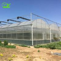 China Large Transparent Plastic Film Multi-Span Greenhouse Grow Tent Transparent and Durable for sale
