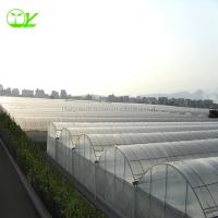 China Large Transparent Plastic Film Multi-Span Greenhouse Grow Tent Transparent and Durable for sale