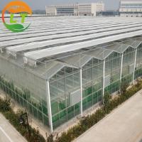 China Litai's Greenhouse and Irrigation System The Perfect Solution for Modern Farming for sale