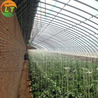 China Traditional Film Solar Greenhouse Large and Durable for Vegetable Cultivation for sale