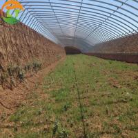China Traditional Film Solar Greenhouse Large and Durable for Vegetable Cultivation for sale