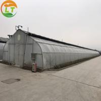 China Film Covered Mushroom Cultured Greenhouse for Mushroom Cultivation and Easy Assembly for sale