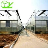 China Optimal Aquaponics Hydroponic System Greenhouse with Single Layer and 3.0-4.5m Height for sale