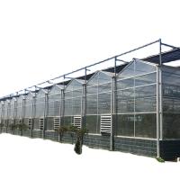 China Multi-span Glass Greenhouse Agricultural Instruction with Super Strong Resistance for sale
