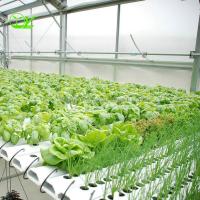 China Optimal Aquaponics Hydroponic System Greenhouse with Single Layer and 3.0-4.5m Height for sale