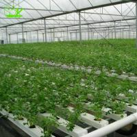 China Optimal Aquaponics Hydroponic System Greenhouse with Single Layer and 3.0-4.5m Height for sale