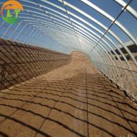 China Film Agricultural Solar Greenhouses Maximize Your Vegetable Fruits and Flowers Growth for sale
