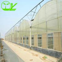 China Optimal Aquaponics Hydroponic System Greenhouse with Single Layer and 3.0-4.5m Height for sale