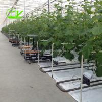 China Hydroponic Farming Agriculture Greenhouse with 8m Wide Span and Transparent Design for sale