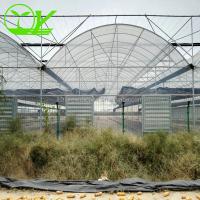 China Hydroponic Farming Agriculture Greenhouse with 8m Wide Span and Transparent Design for sale