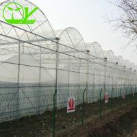 China Hydroponic Farming Agriculture Greenhouse with 8m Wide Span and Transparent Design for sale