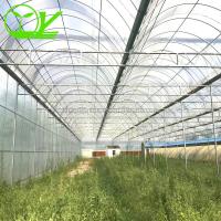 China Hydroponic Farming Agriculture Greenhouse with 8m Wide Span and Transparent Design for sale