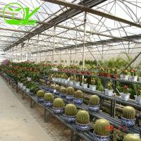 China Hydroponic Farming Agriculture Greenhouse with 8m Wide Span and Transparent Design for sale