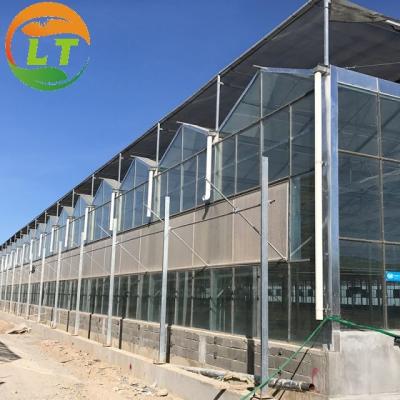 China Stable Structure Glass Greenhouse for Growing Vegetables and Fruits in All Seasons for sale