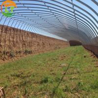 China Chinese Style Metal Frame Solar Prefab Tomato Greenhouse for Outdoors and Agriculture for sale
