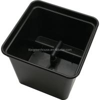 China Hydroponic Growing System for Tomatoes in Dutch Bucket Easy Assembly and Efficiency for sale