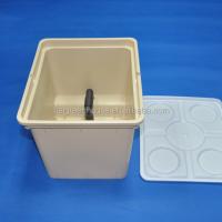 China Hydroponic Growing System for Tomatoes in Dutch Bucket Easy Assembly and Efficiency for sale