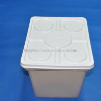 China Hydroponic Growing System for Tomatoes in Dutch Bucket Easy Assembly and Efficiency for sale