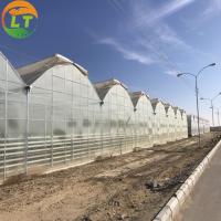 China Galvanized Skeleton Cover Film for Agricultural Product in Shouguang Easy to Install for sale