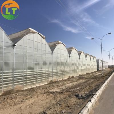 China Galvanized Skeleton Cover Film for Agricultural Product in Shouguang Easy to Install for sale