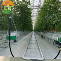 China Transparent Glass Greenhouse for Sustainable Vegetable Planting and Plant Growth for sale