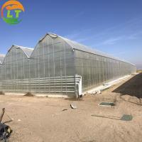 China Galvanized Skeleton Cover Film for Agricultural Product in Shouguang Easy to Install for sale