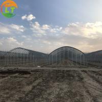 China Backyard Tomato Plant Growth High Tunnel Greenhouse Frame with Film Cover Material for sale