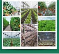 China Galvanized Skeleton Cover Film for Agricultural Product in Shouguang Easy to Install for sale
