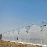 China Customized Size Film Covered Poultry Farm Greenhouse Length 30-100m with Film Cover for sale