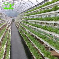 China Hydroponic Plant Growth Systems Greenhouses for Optimal Results for sale