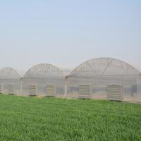China Customized Size Film Covered Poultry Farm Greenhouse Length 30-100m with Film Cover for sale