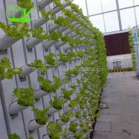 China Hydroponic Plant Growth Systems Greenhouses for Optimal Results for sale