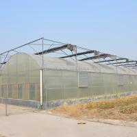China Customized Size Film Covered Poultry Farm Greenhouse Length 30-100m with Film Cover for sale