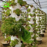 China Hydroponic Plant Growth Systems Greenhouses for Optimal Results for sale