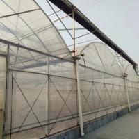 China Customized Size Film Covered Poultry Farm Greenhouse Length 30-100m with Film Cover for sale