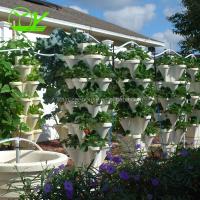 China Hydroponic Plant Growth Systems Greenhouses for Optimal Results for sale