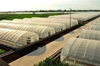 China Efficiently Grow Crops Solar Agricultural Greenhouses  All Year Round for sale