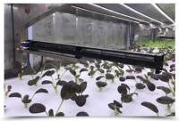 China Efficiently Grow Crops Solar Agricultural Greenhouses  All Year Round for sale