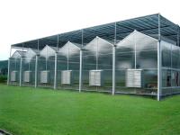 China Efficiently Grow Crops Solar Agricultural Greenhouses  All Year Round for sale