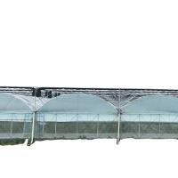 China Agricultural Greenhouse Ltd. Presents Large Vertical Hydroponic System for Lettuce for sale