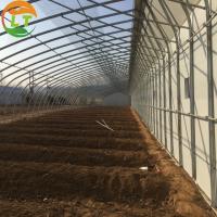 China Hydroponic Greenhouse System for High Strength Solar Greenhouse and Vegetable Flower for sale
