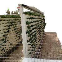 China Grow Your Own Strawberries at Home with this Hydroponic Growing System Easy to Install for sale