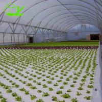 China Grow Your Own Strawberries at Home with this Hydroponic Growing System Easy to Install for sale