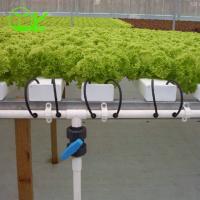 China Grow Your Own Strawberries at Home with this Hydroponic Growing System Easy to Install for sale