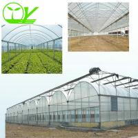 China Grow Your Own Strawberries at Home with this Hydroponic Growing System Easy to Install for sale