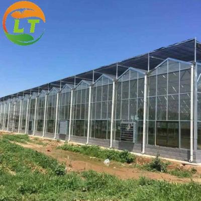 China Glass for Outdoors Greenhouses Large Size and Hydroponic Nursery Sponge Advantage for sale