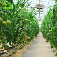 China PP Hydroponic Tomato Growing Dutch Bucket System for Vegetables for sale